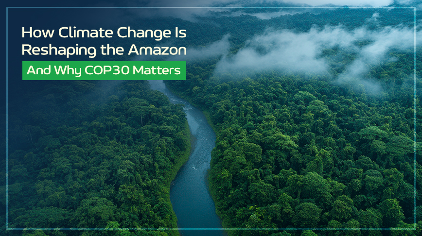 The Impact of Climate Change on the Amazon and the Importance of COP30
