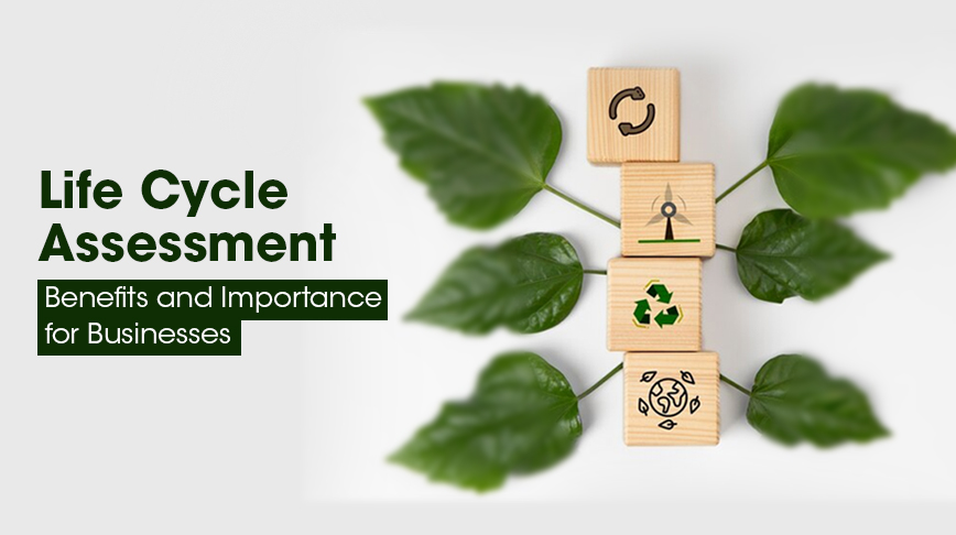 Life Cycle Assessment: Benefits and Importance for Every Business