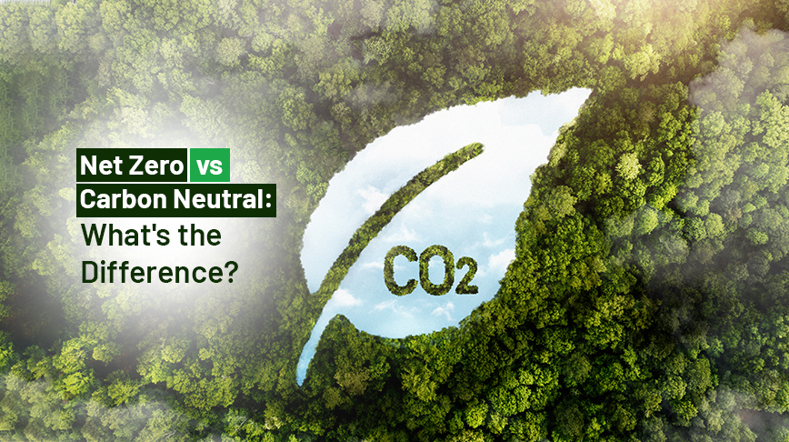 Net Zero vs Carbon Neutral: Understanding the Key Differences