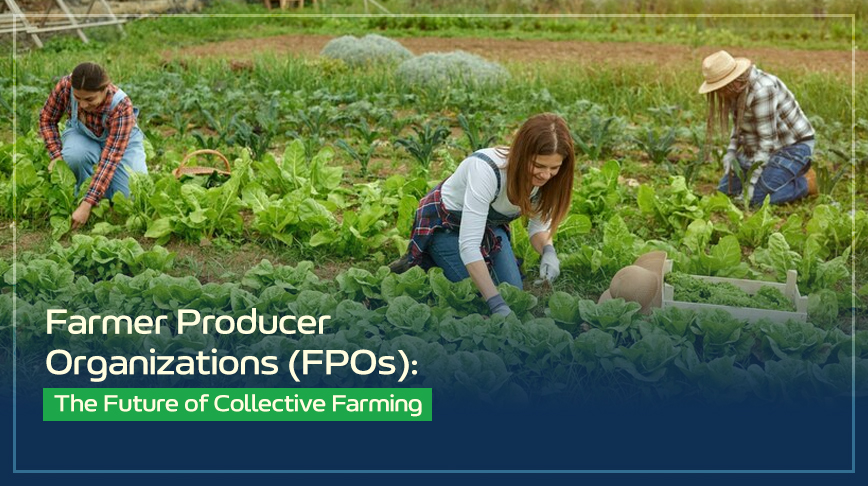 FPOs: Driving the Future of Collective Farming