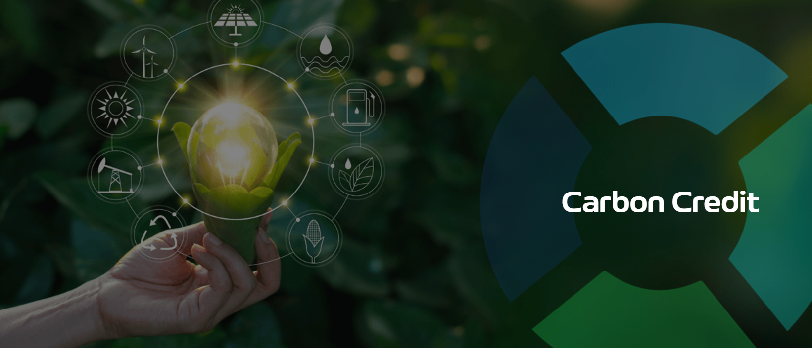 Carbon Credit Consulting Services | Earthood